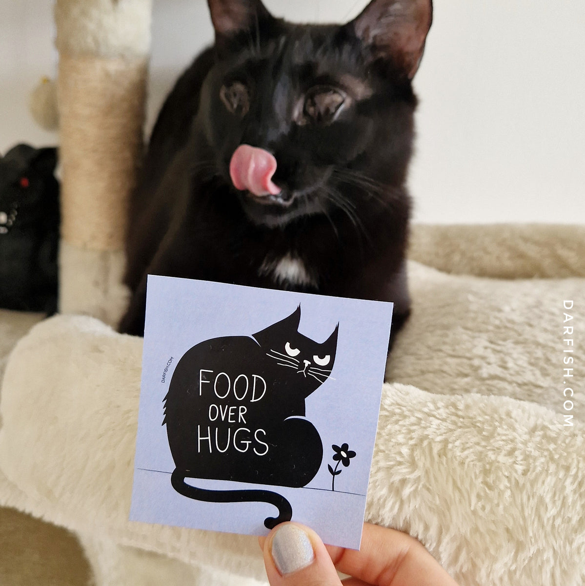 Food Over Hugs Cat Sticker – DARFISH