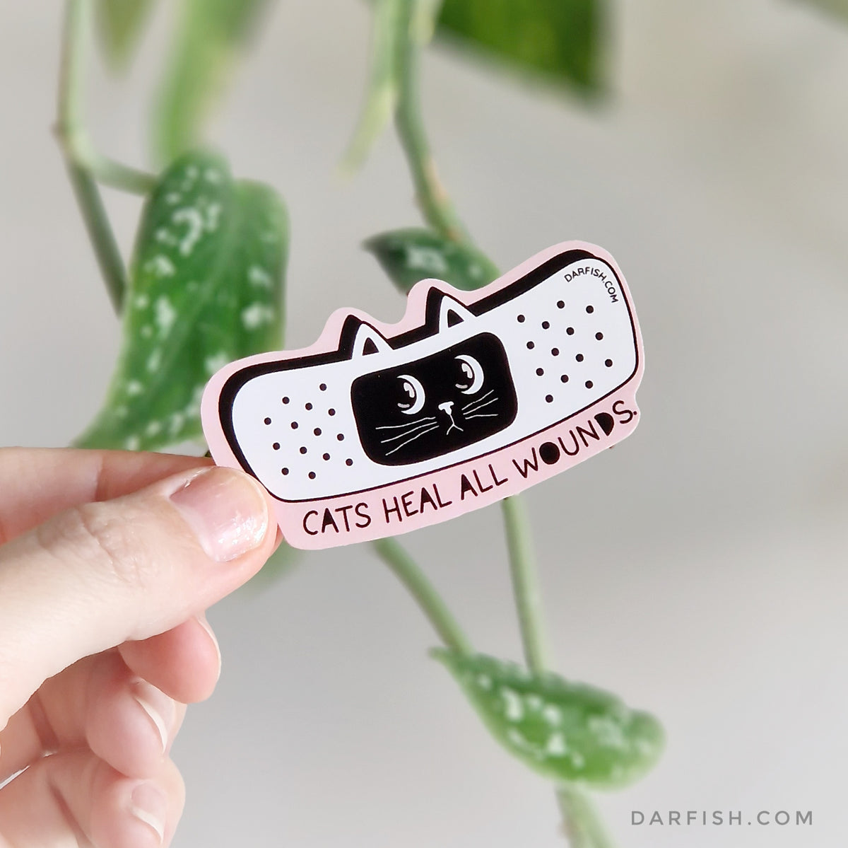 Cats heal all wounds Band aid cat Sticker – DARFISH