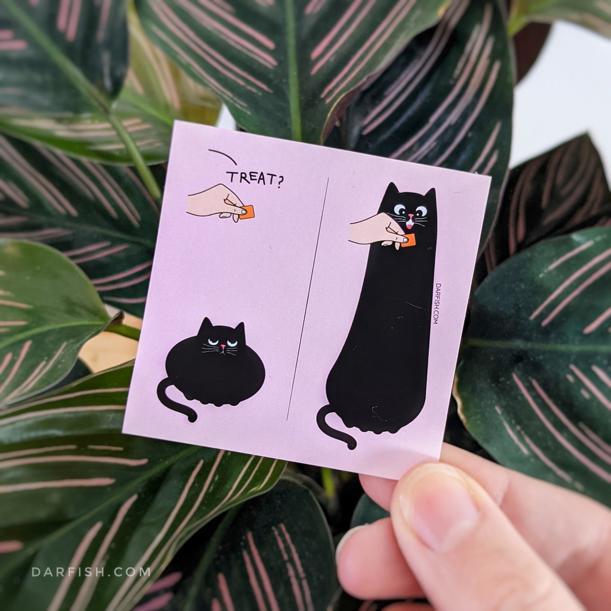 Long cat treat Sticker – DARFISH